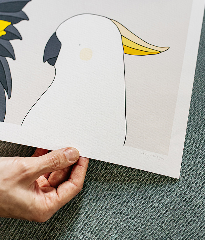 Birds of Sydney – Eggpicnic