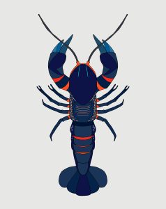 Alpine Spiny Crayfish – Eggpicnic